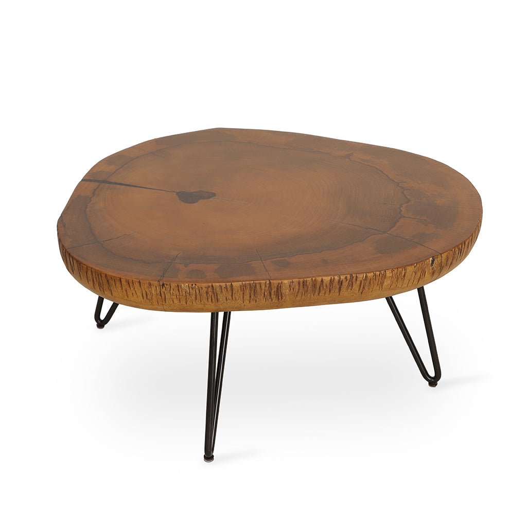 Kalin - Metal Center Table | Alankaram